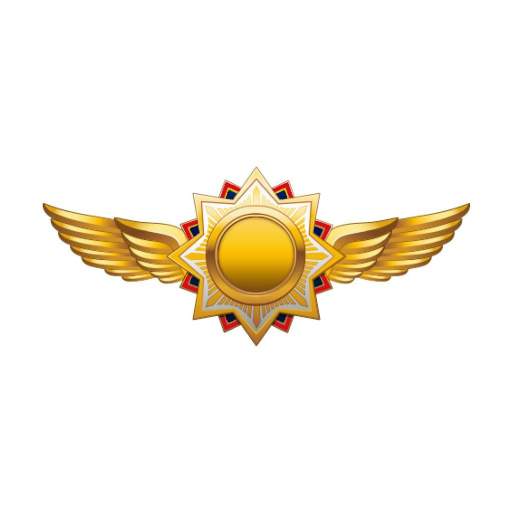 The Difference Between The Brooch、The Badge and The Pin - Hamfai